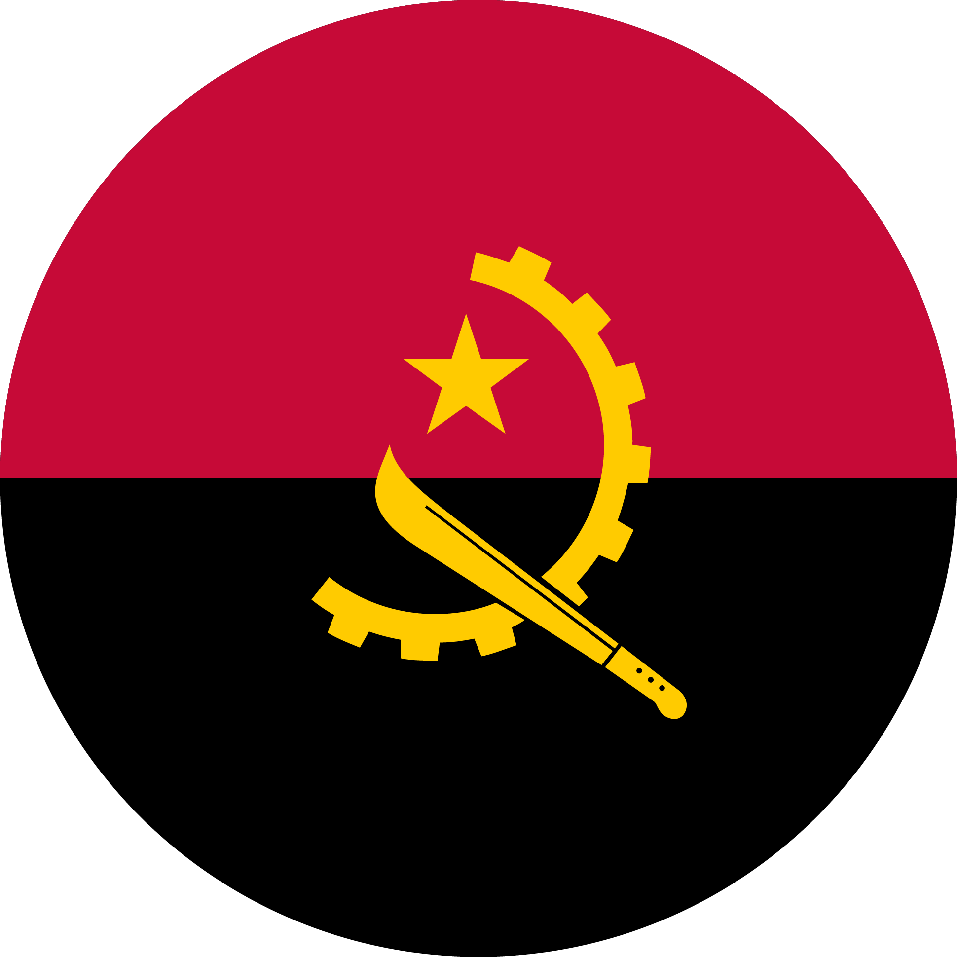 Flag of Angola – Meaning, Symbols & History | AllWorldFlags