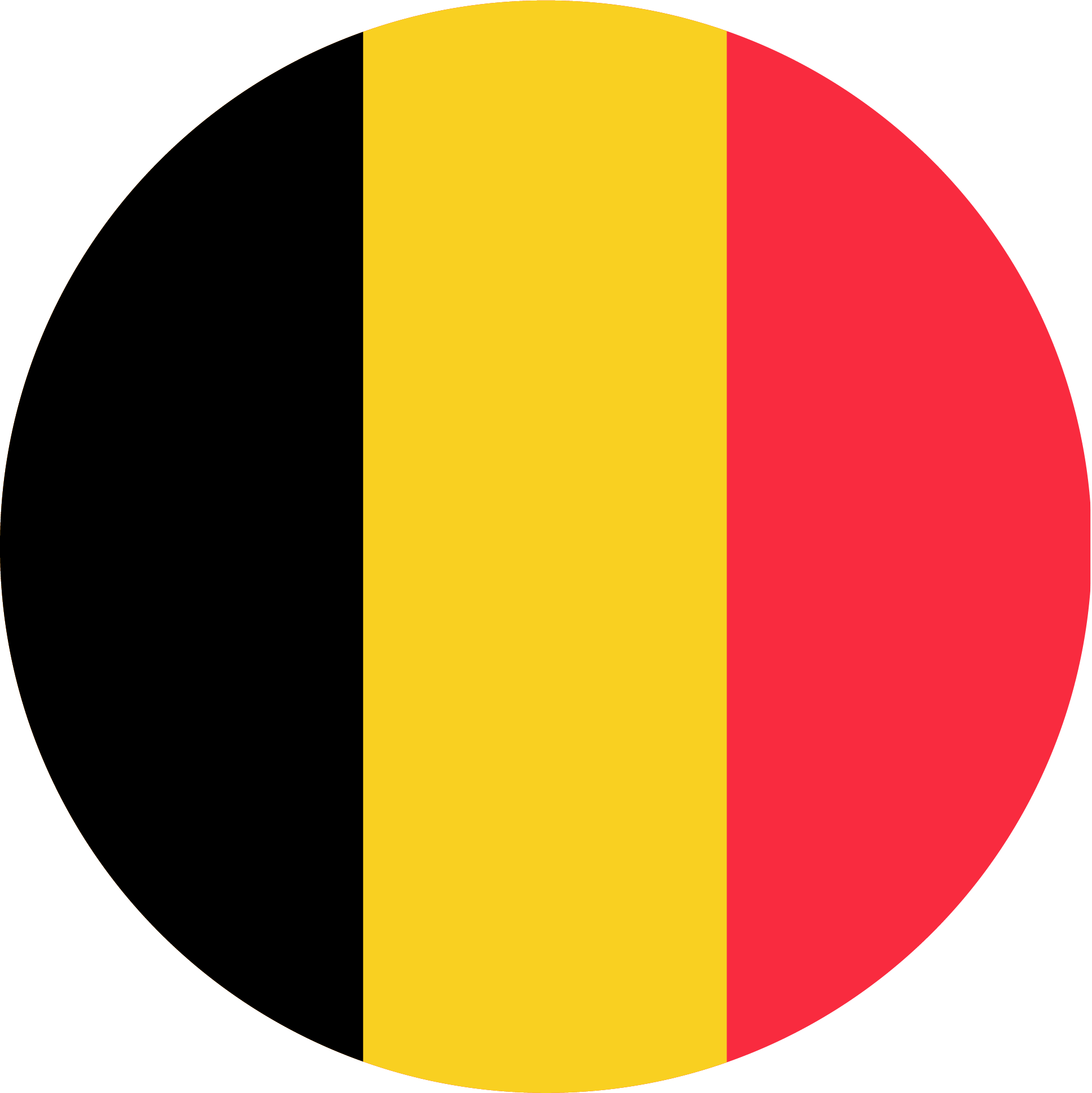 Flag of Belgium – Tricolor Meaning & History | AllWorldFlags