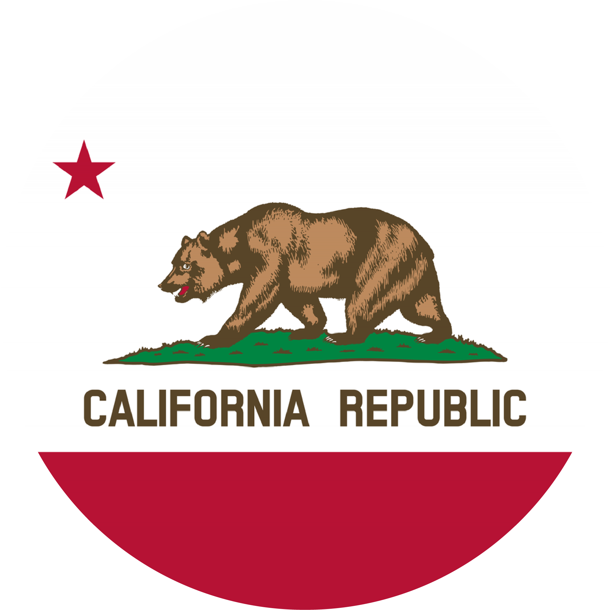 Flag of California – Bear Symbol & Meaning | AllWorldFlags