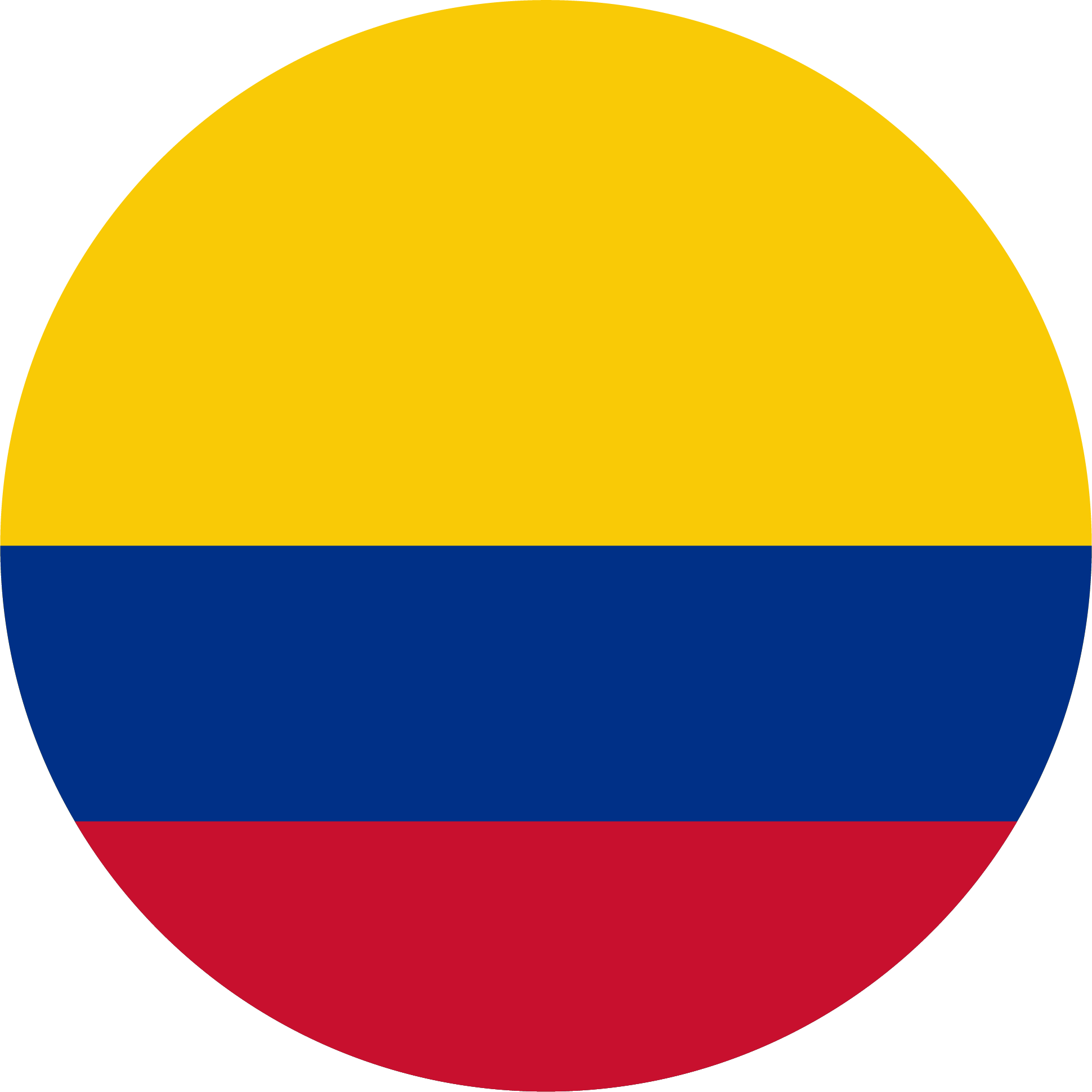 Flag of Colombia – Colors & Meaning | AllWorldFlags