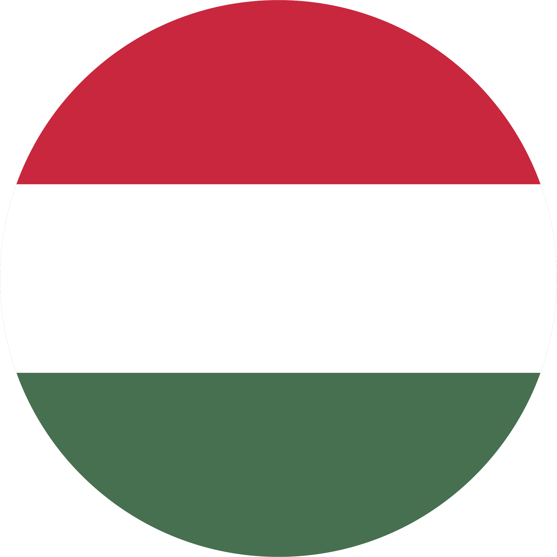 Flag of Hungary – Colors Meaning & History | AllWorldFlags
