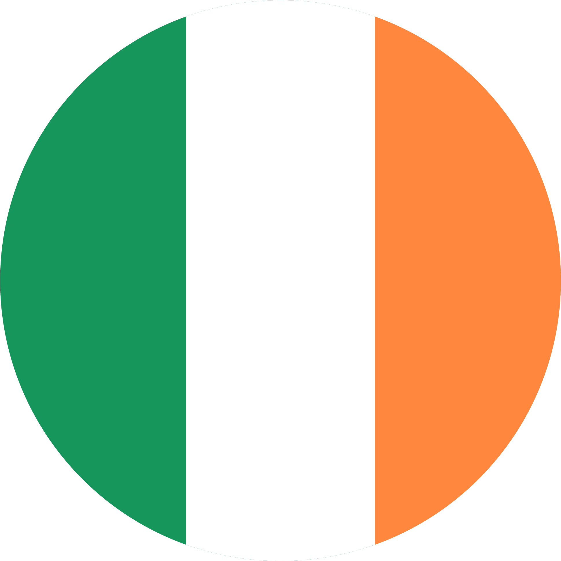 Flag of Ireland – Tricolor Meaning & History | AllWorldFlags