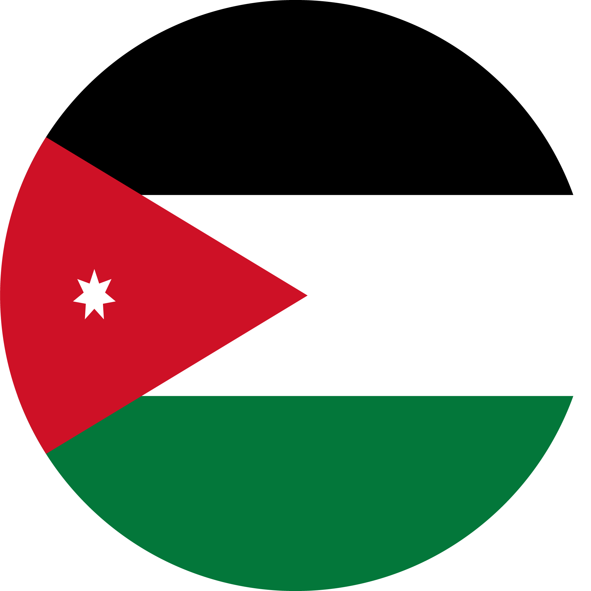 Flag of Jordan – Colors & Star Meaning | AllWorldFlags