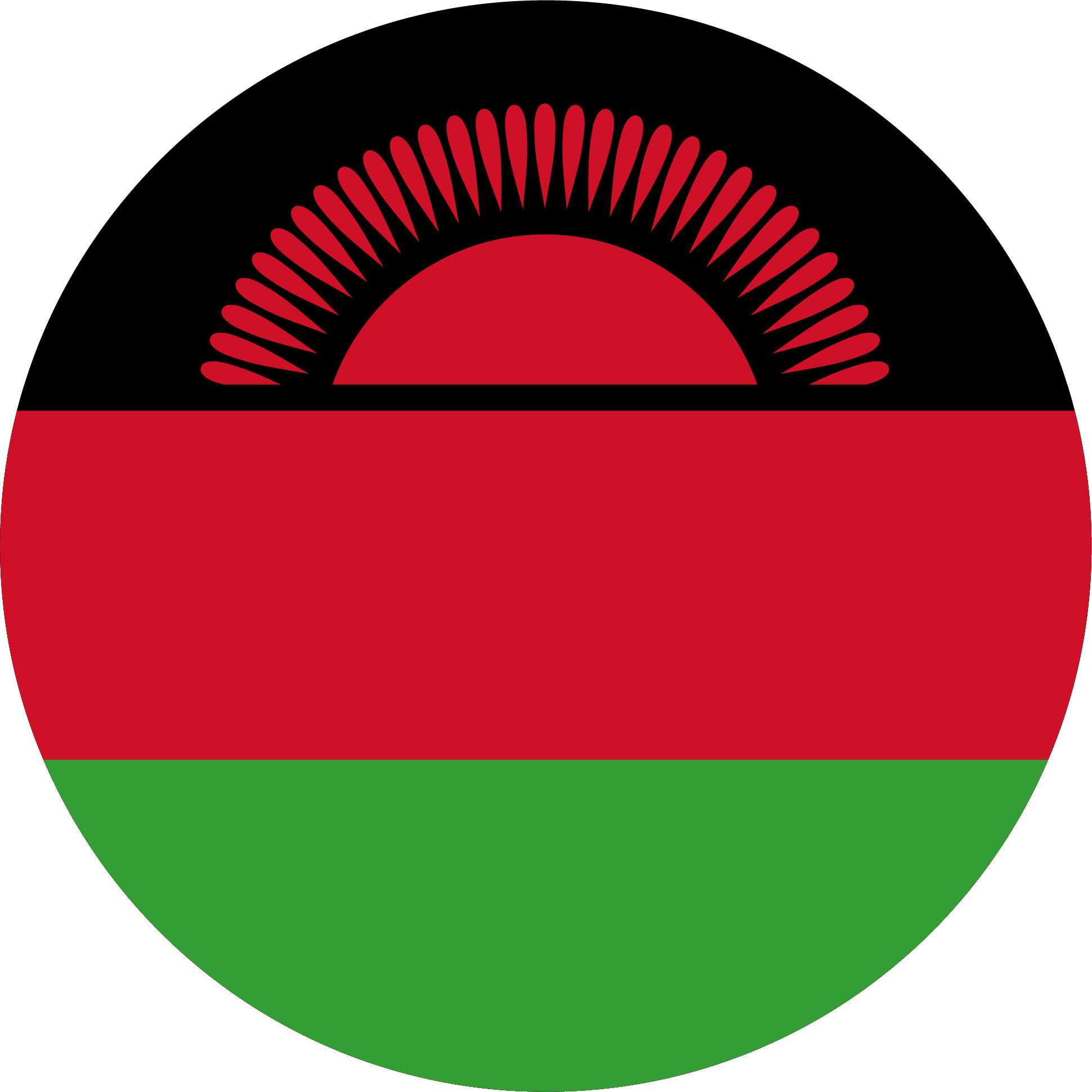Flag of Malawi – Rising Sun & Colors Meaning | AllWorldFlags