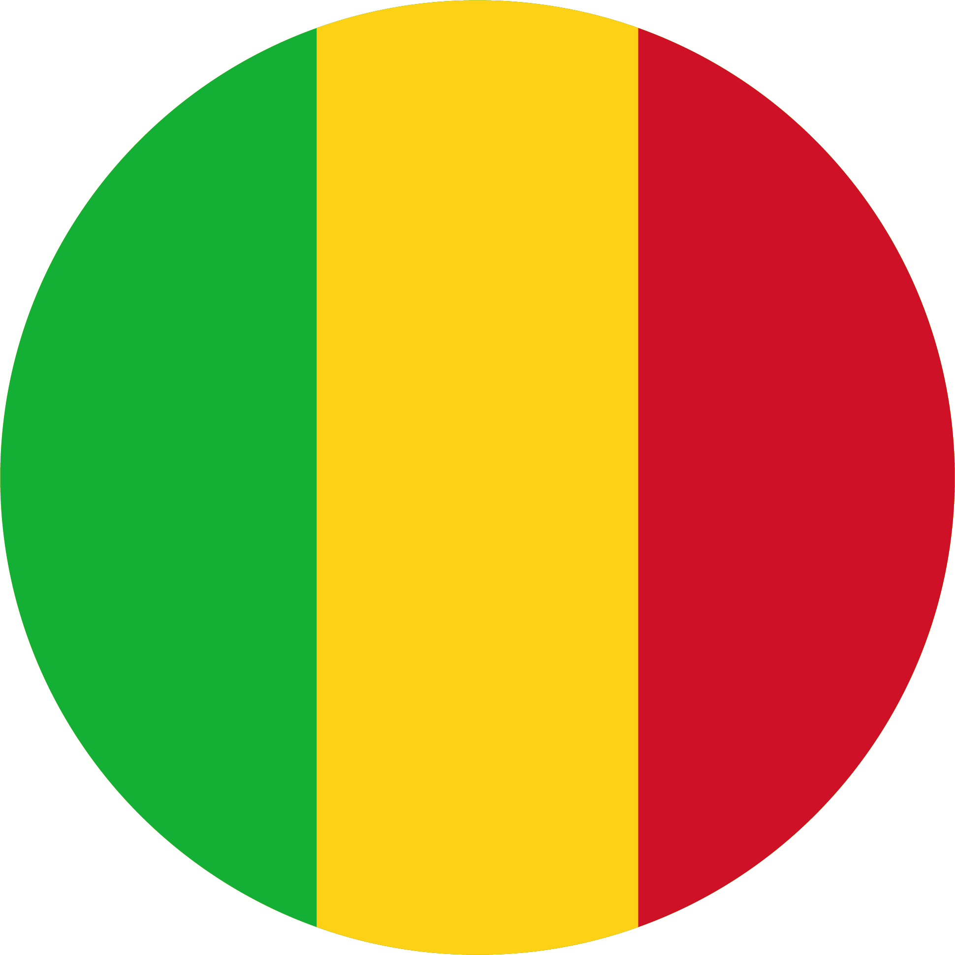 Flag of Mali – Colors & Meaning | AllWorldFlags
