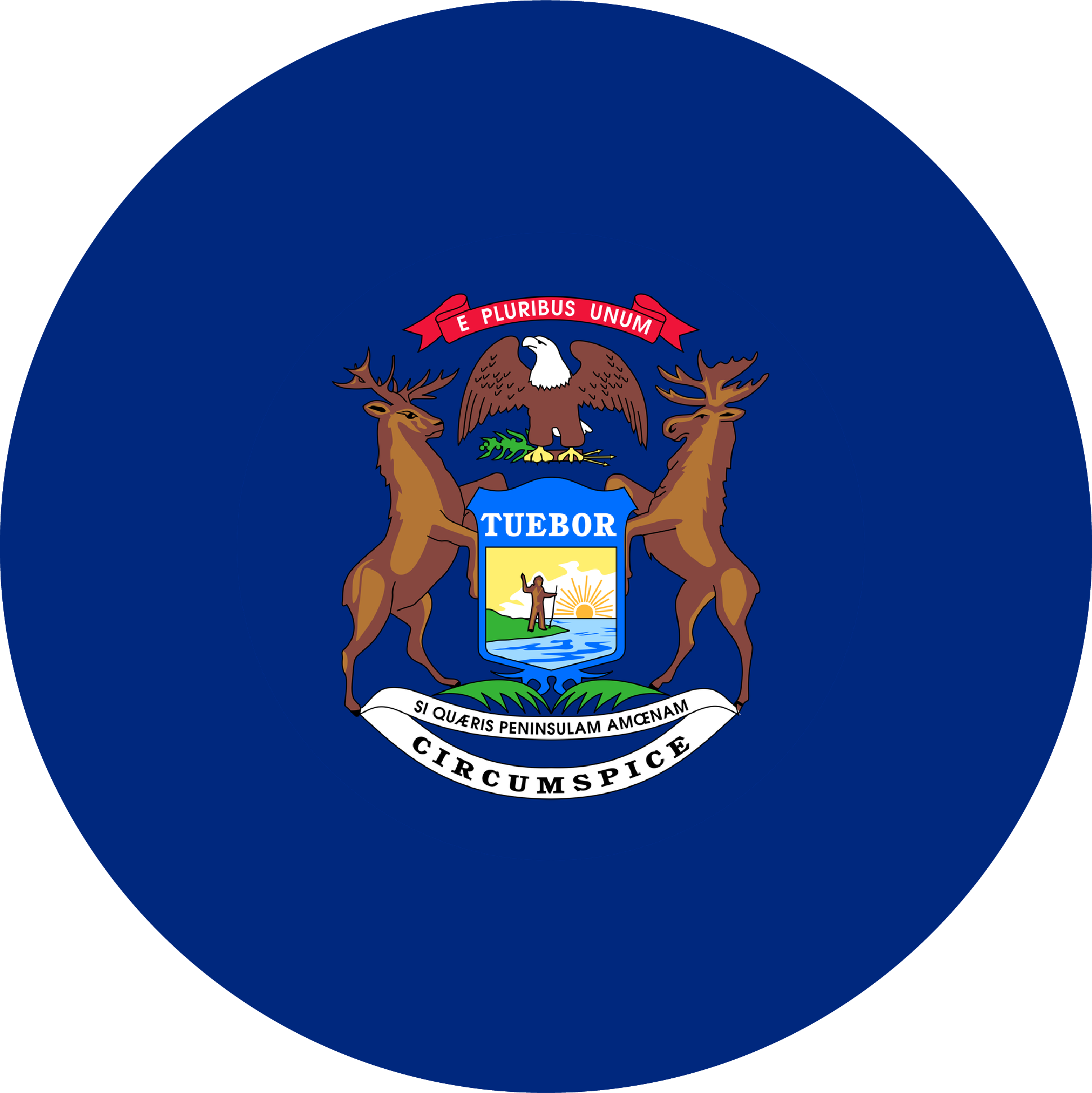 Flag of Michigan – Coat of Arms & Colors Meaning | AllWorldFlags