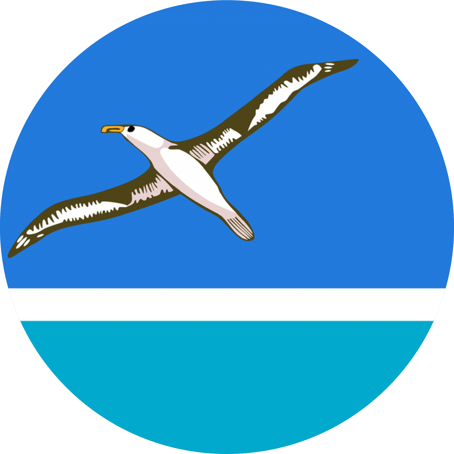 Flag of Midway Islands – Design & Meaning | AllWorldFlags