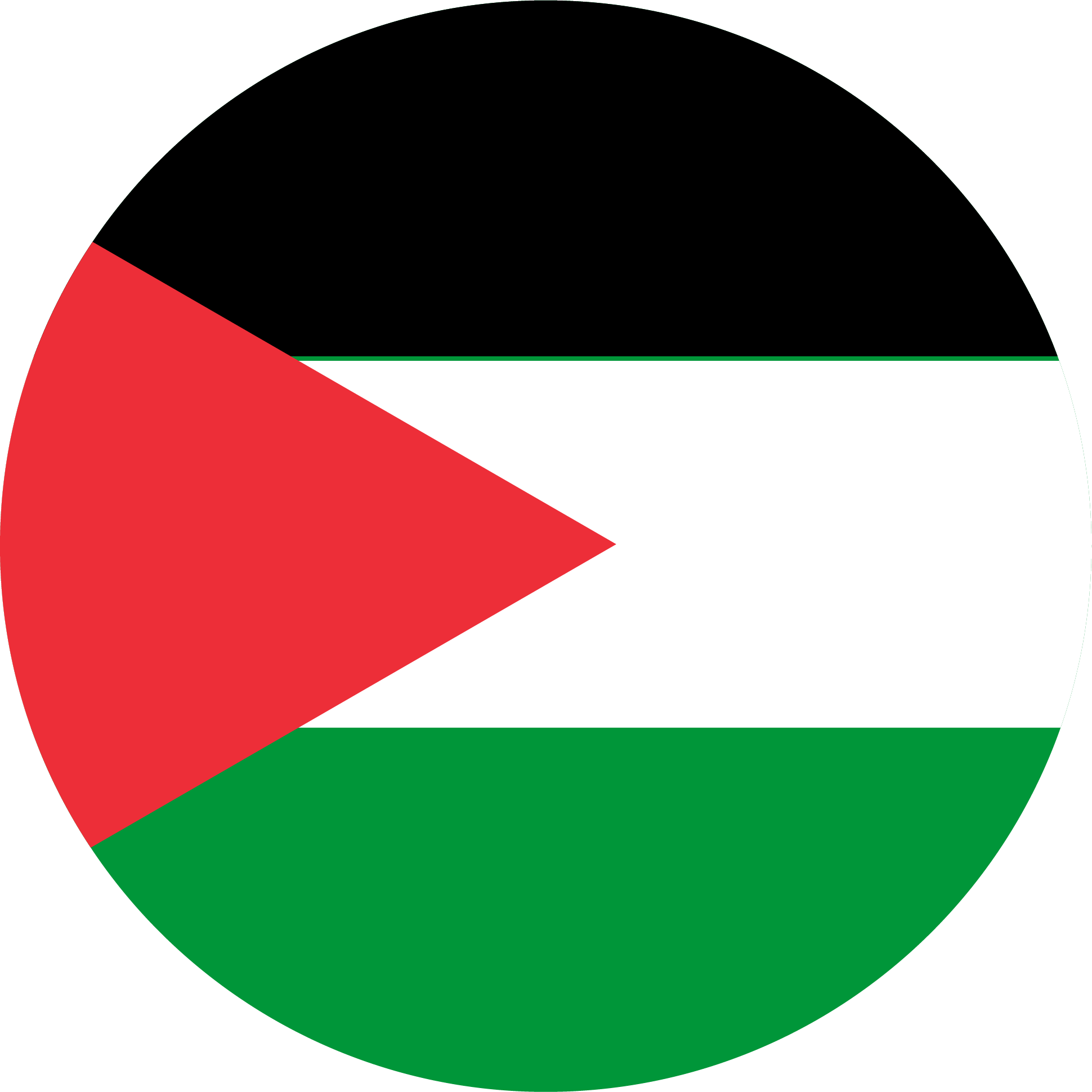Flag of Palestine – Colors & Triangle Meaning | AllWorldFlags