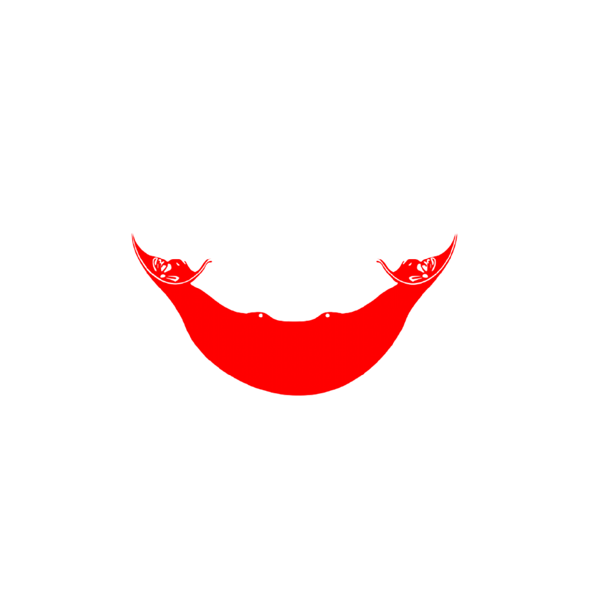 Flag of Rapa Nui (Easter Island) – Design & Meaning | AllWorldFlags