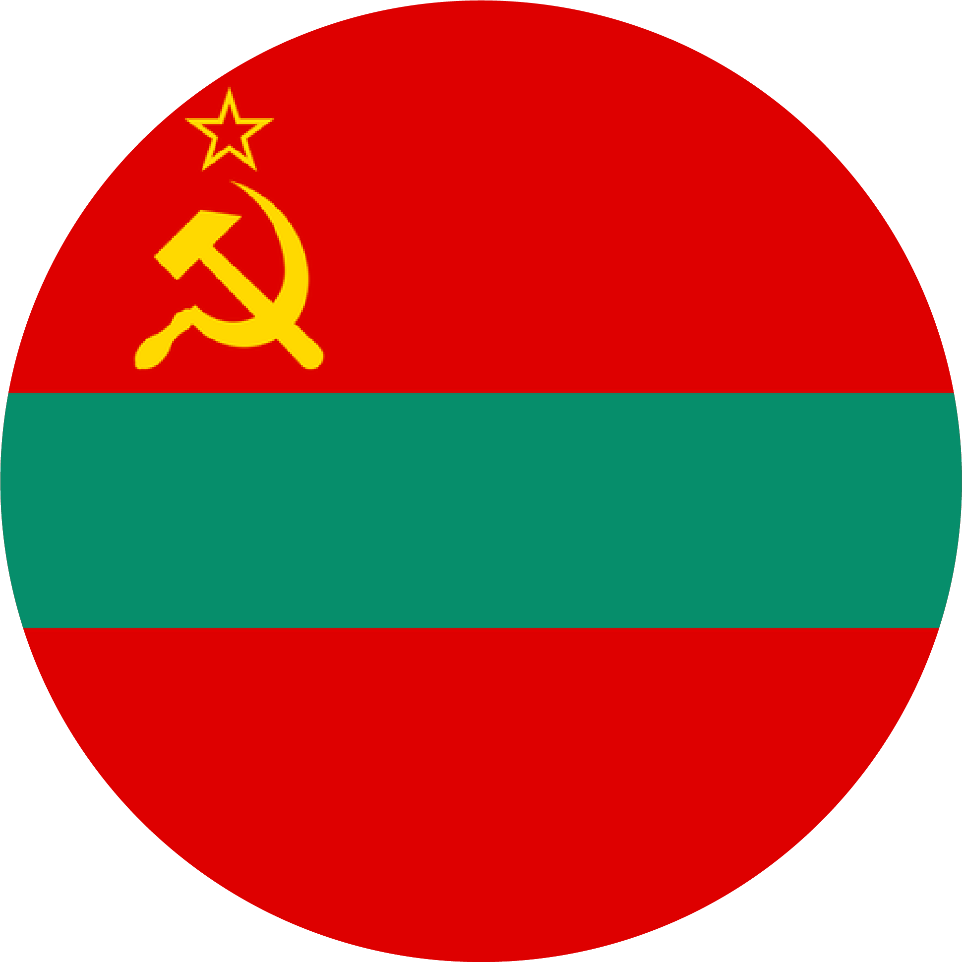 Flag of Transnistria – Colors & Symbols Meaning | AllWorldFlags