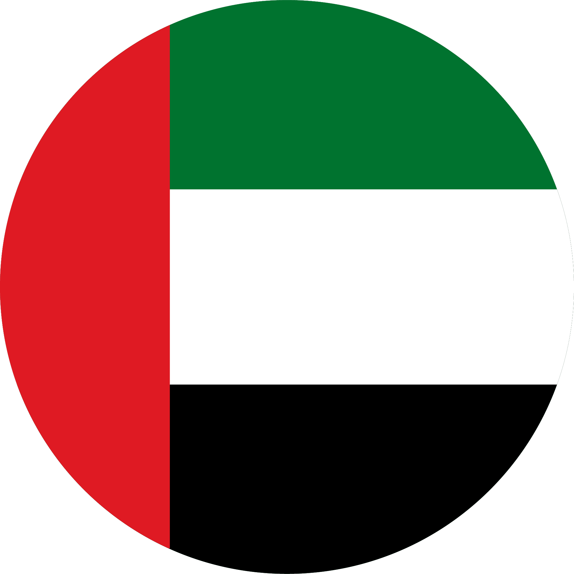 Flag of United Arab Emirates – Colors Meaning | AllWorldFlags