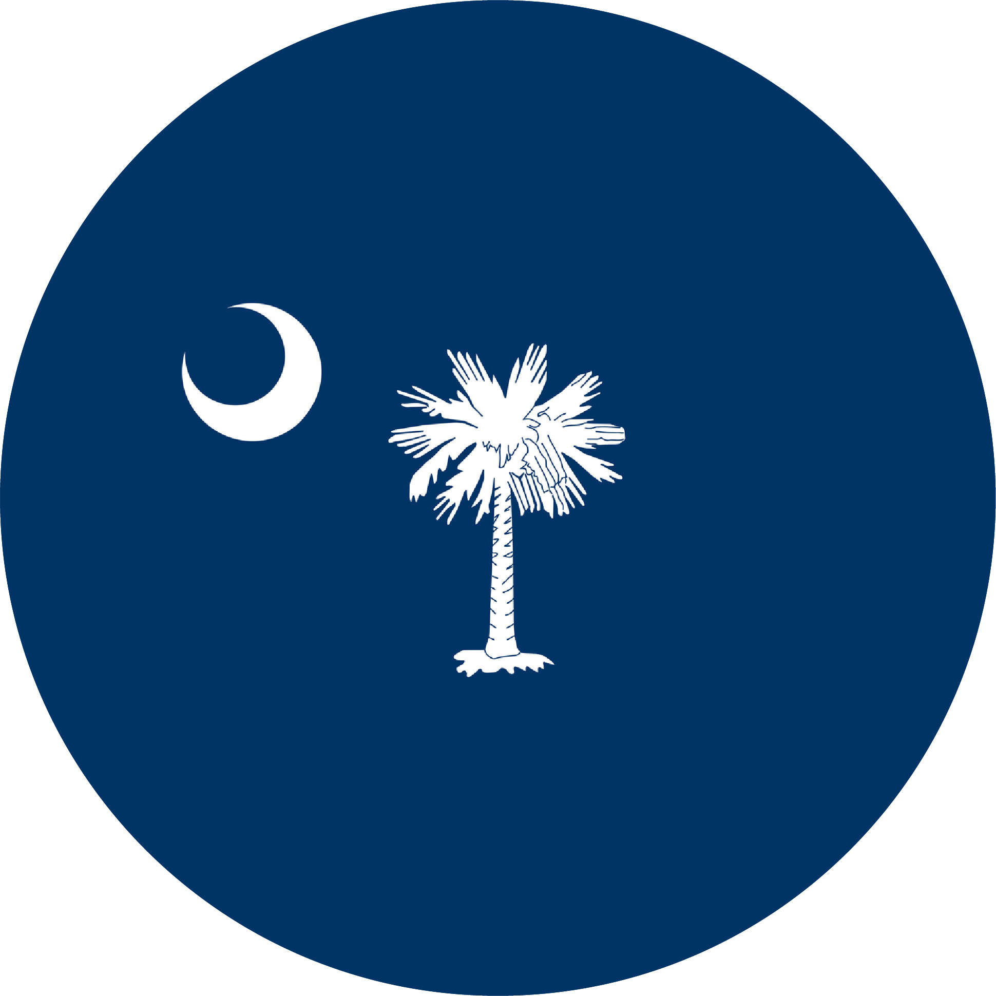 Flag of South Carolina – Palmetto & Crescent Meaning | AllWorldFlags
